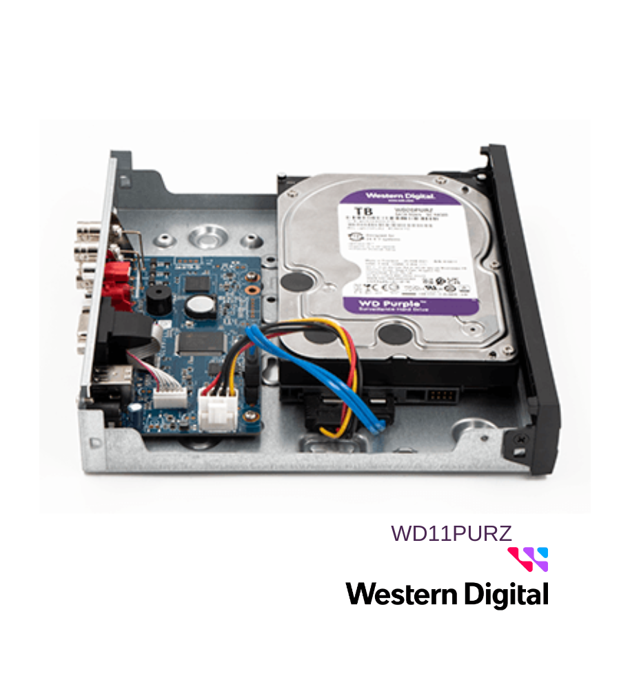 WD11PURZ