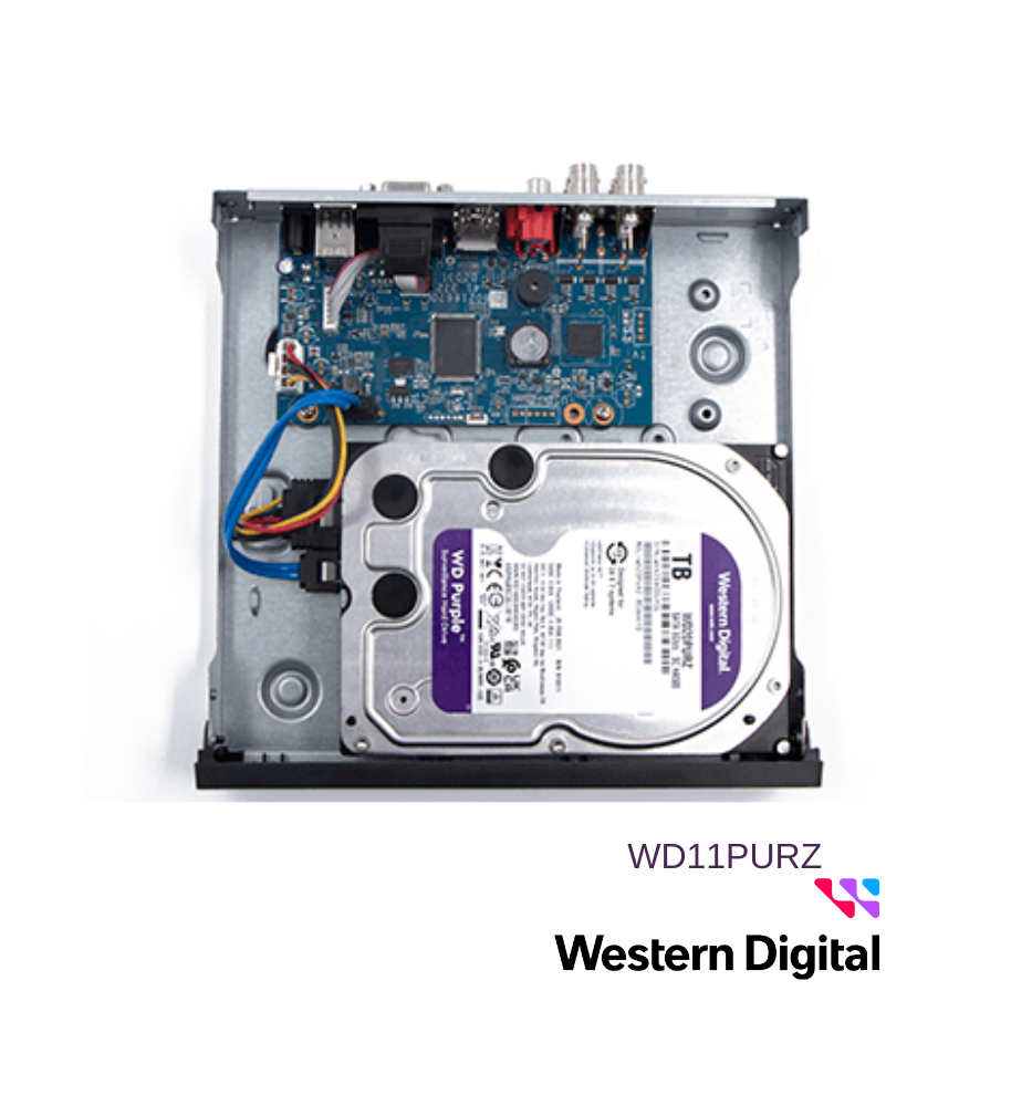 WD11PURZ